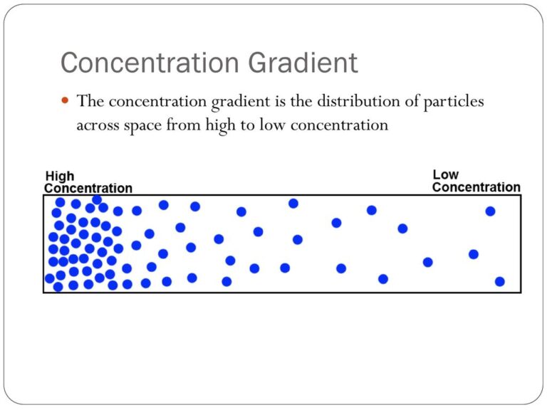 Concentration Gradient - Best Biology Notes, Reference,...