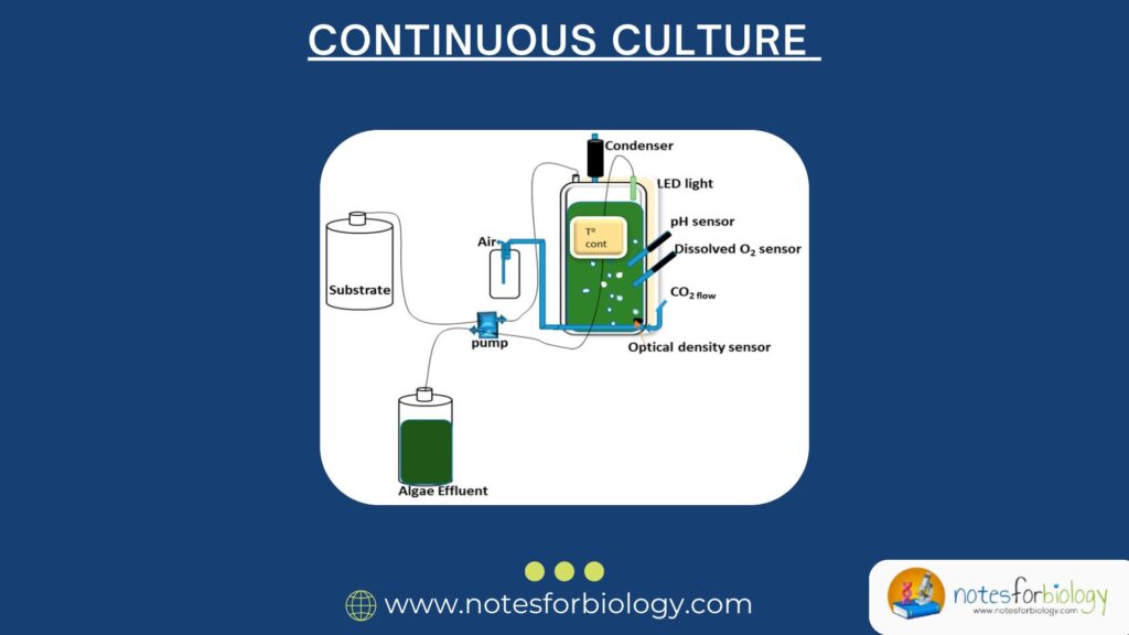 Deoxycholate Citrate Agar (DCA) - Best Biology Notes,...