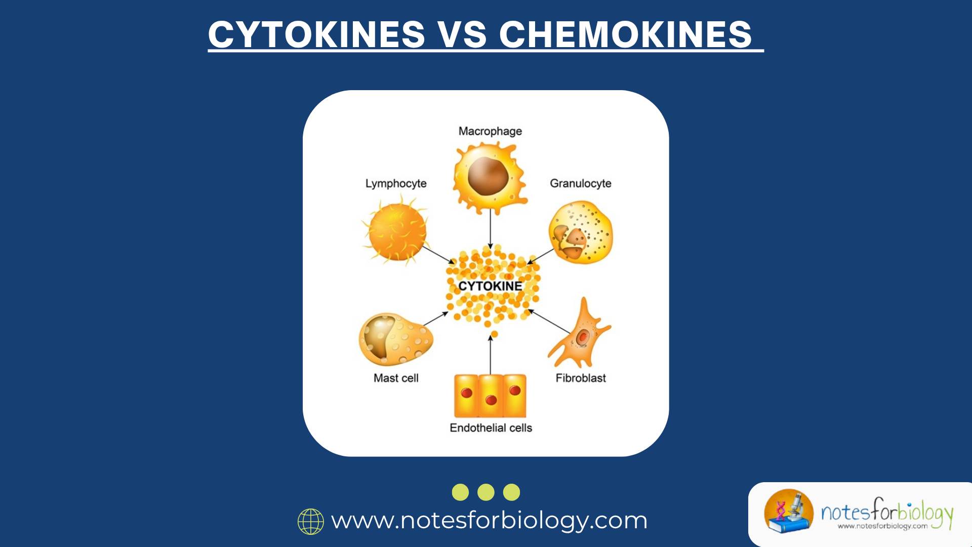 Cytokines vs Chemokines - Best Biology Notes, Reference,...