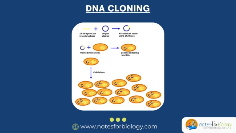 DNA Cloning - Best Biology Notes, Reference, Articles