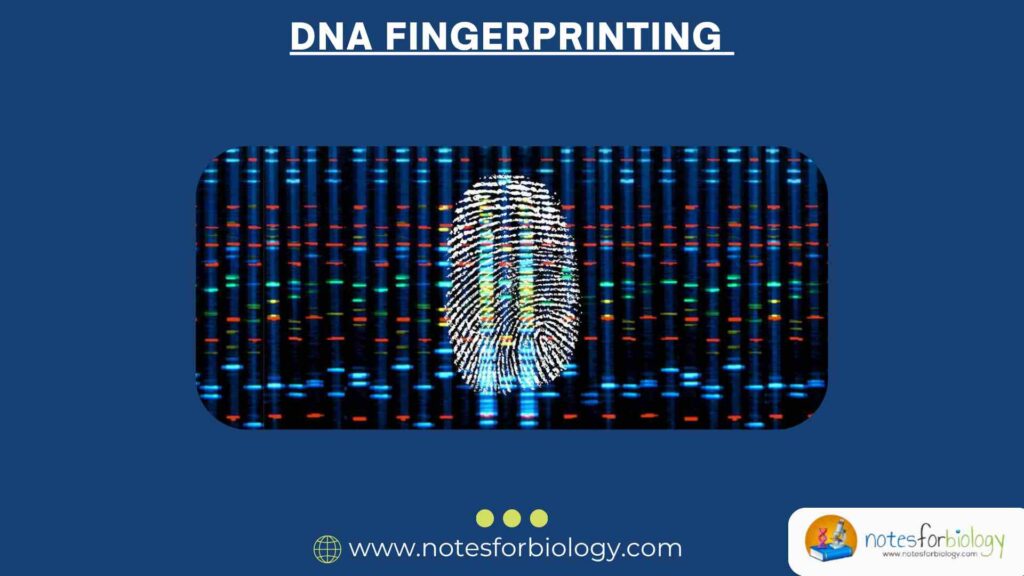 DNA Fingerprinting - Best Biology Notes, Reference, Articles