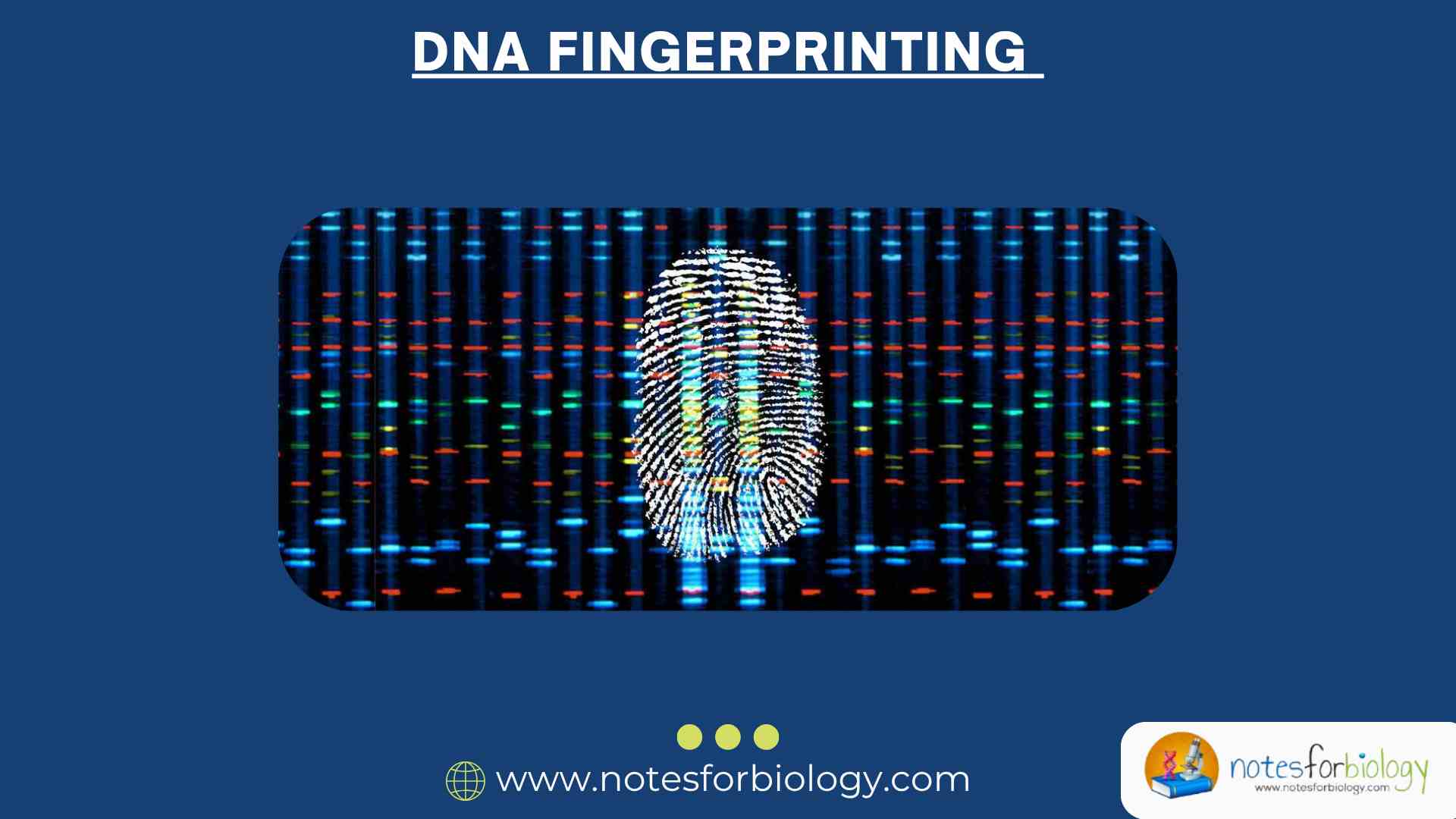 DNA Fingerprinting - Best Biology Notes, Reference, Articles