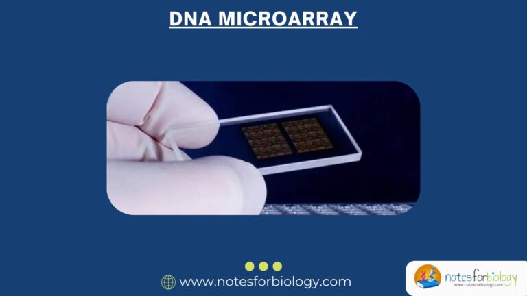 DNA Microarray - Best Biology Notes, Reference, Articles