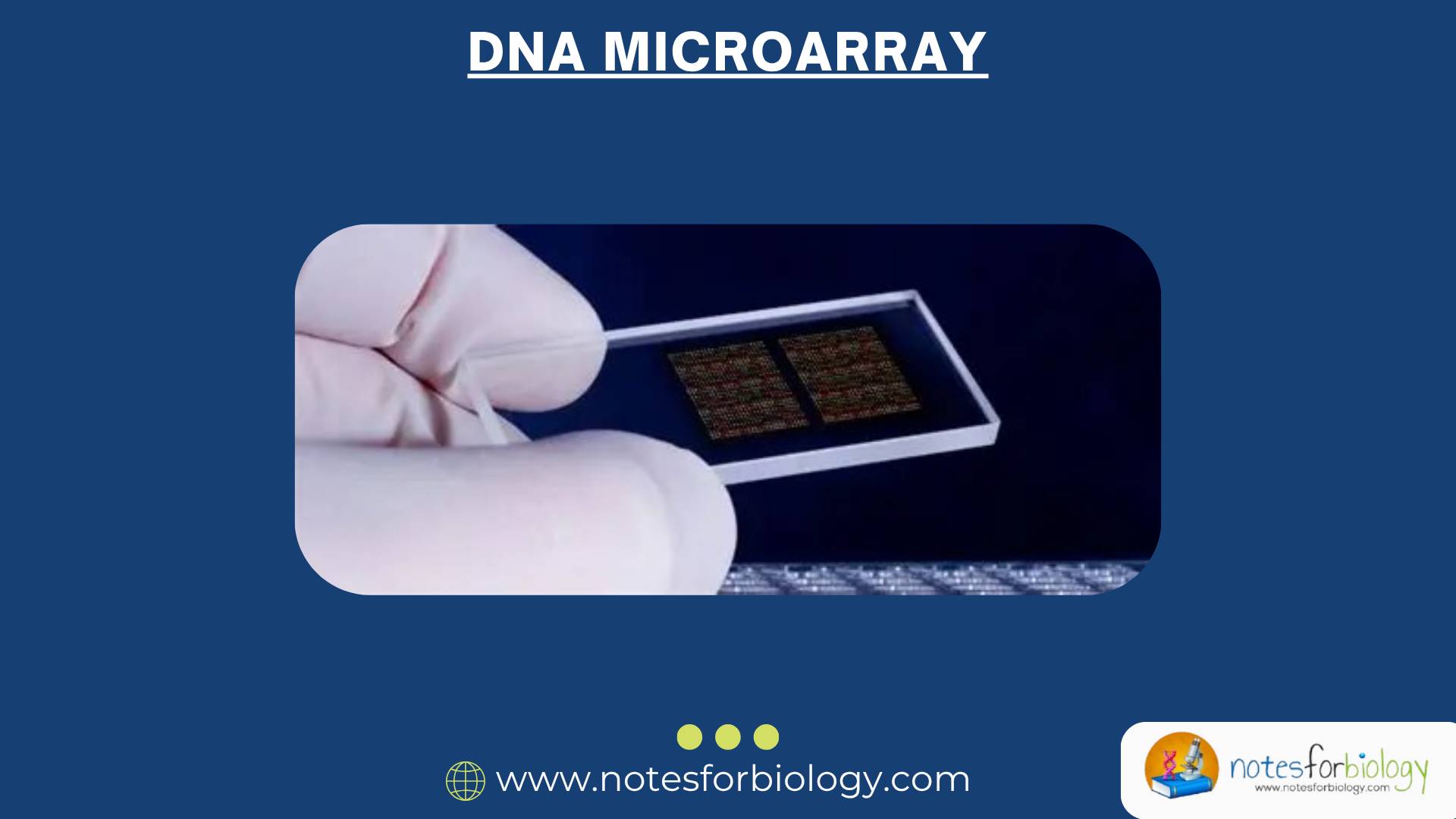 Dna Microarray Best Biology Notes Reference Articles