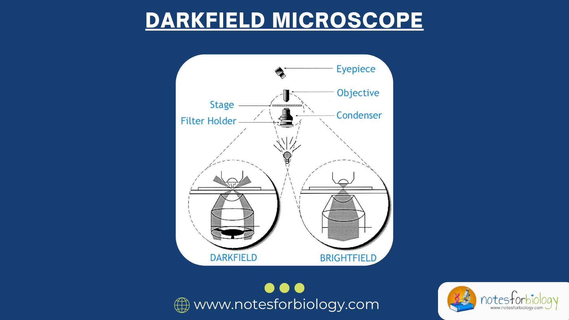 Darkfield Microscope - Best Biology Notes, Reference,...