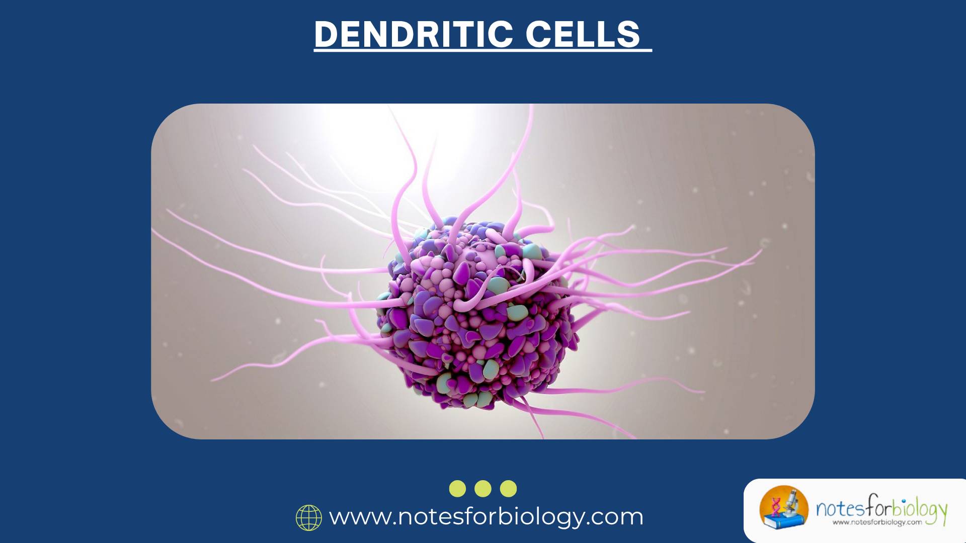 Dendritic Cells - Best Biology Notes, Reference, Articles