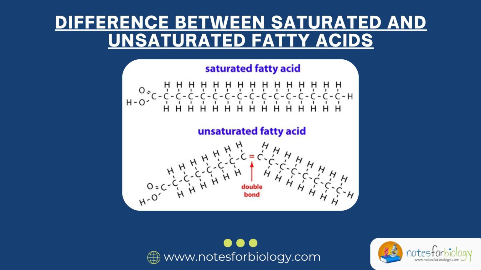 Difference of Saturated and Unsaturated Fatty Acids. Best