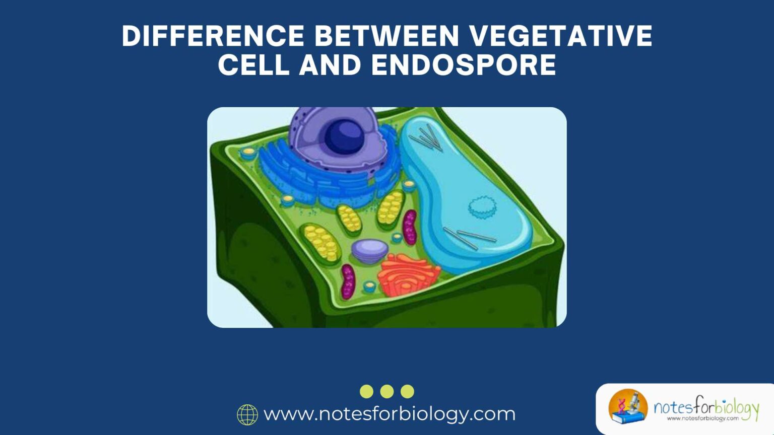 Difference Between Vegetative Cell and Endospore. Best