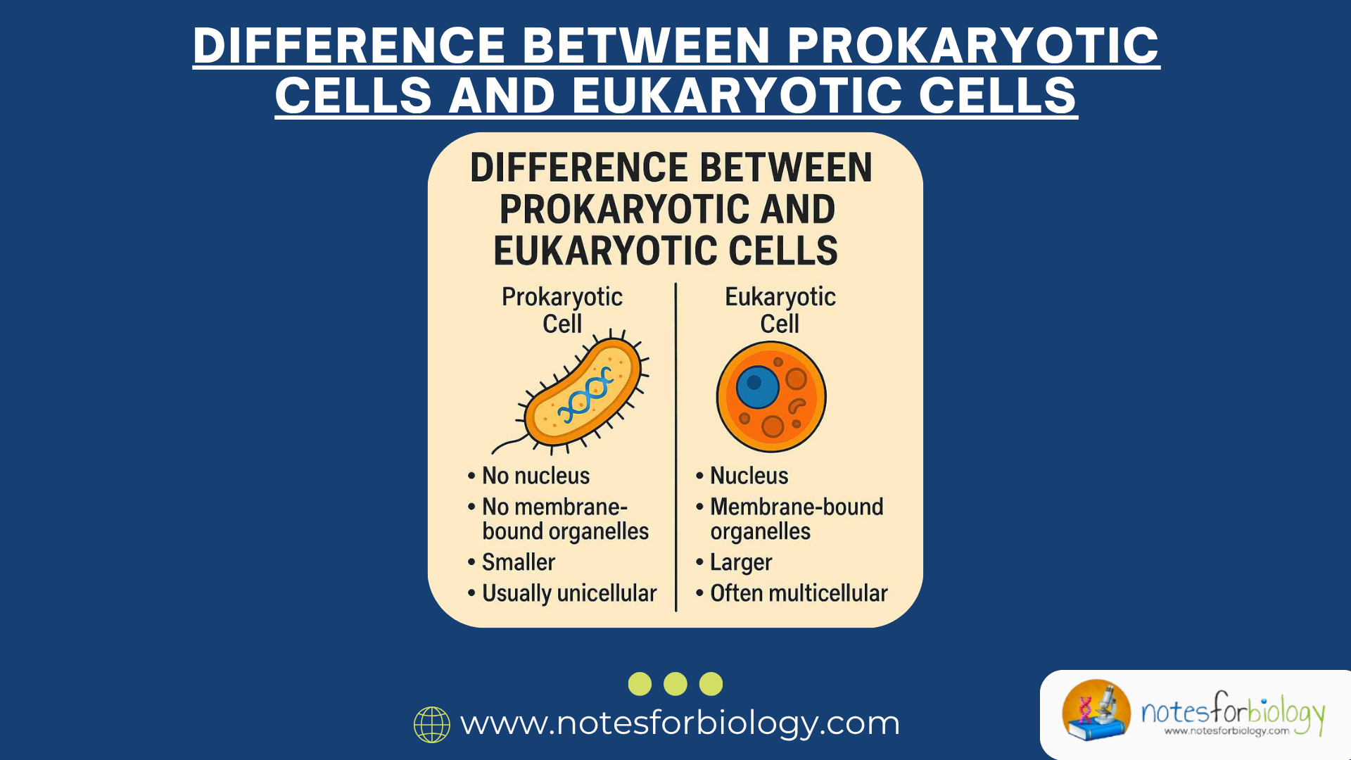 Prokaryotic and Eukaryotic Cells difference between - Best