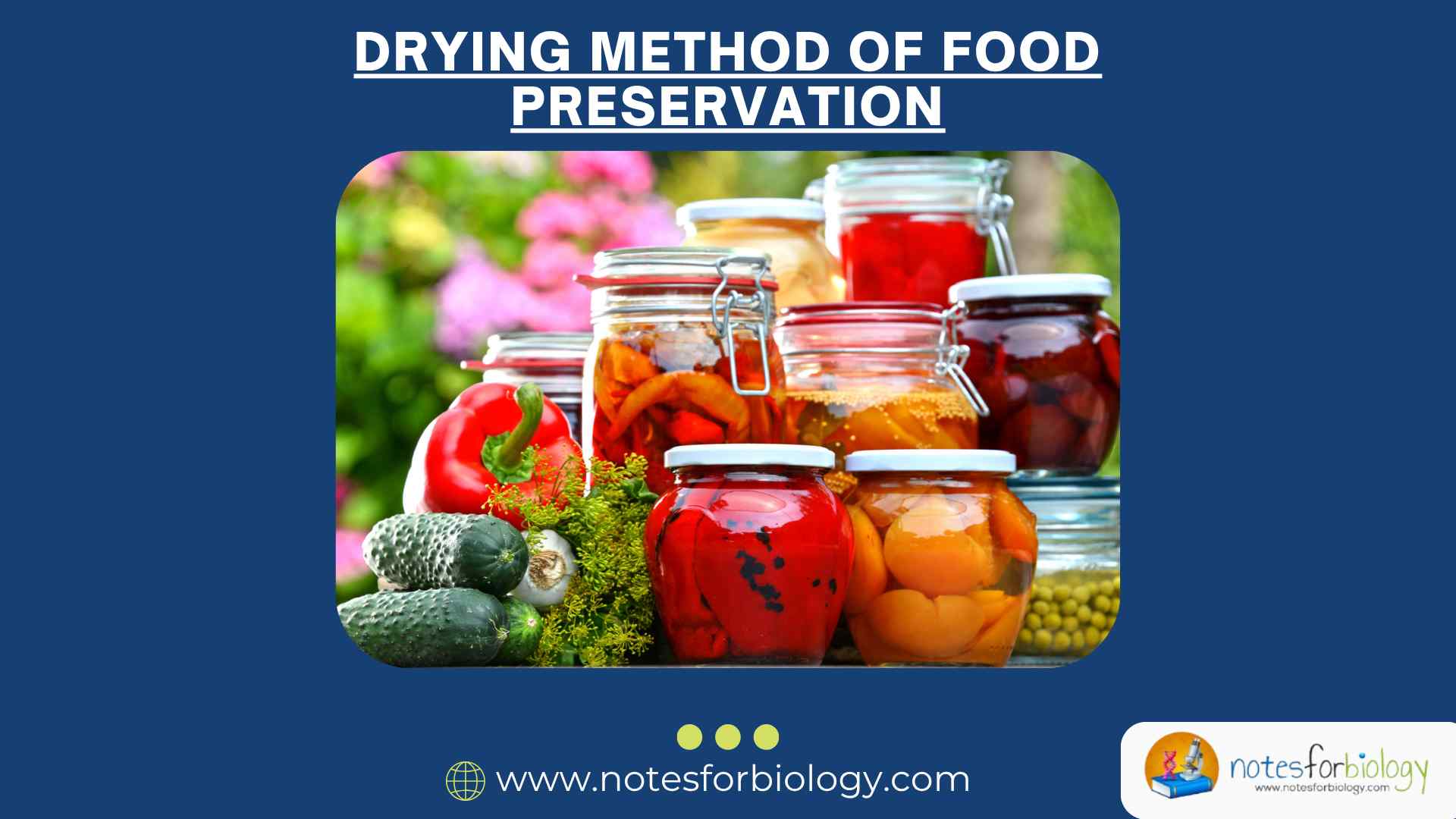 Drying Method of Food Preservation - Best Biology Notes,...