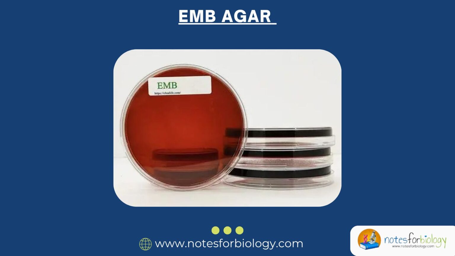 EMB Agar - Best Biology Notes, Reference, Articles