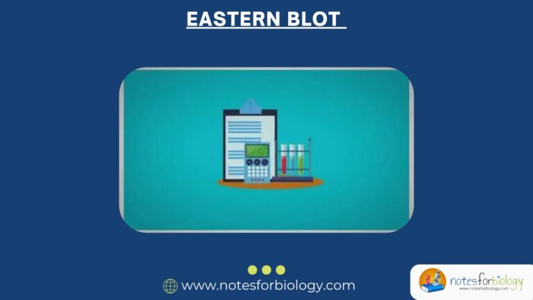 Eastern Blot - Best Biology Notes, Reference, Articles