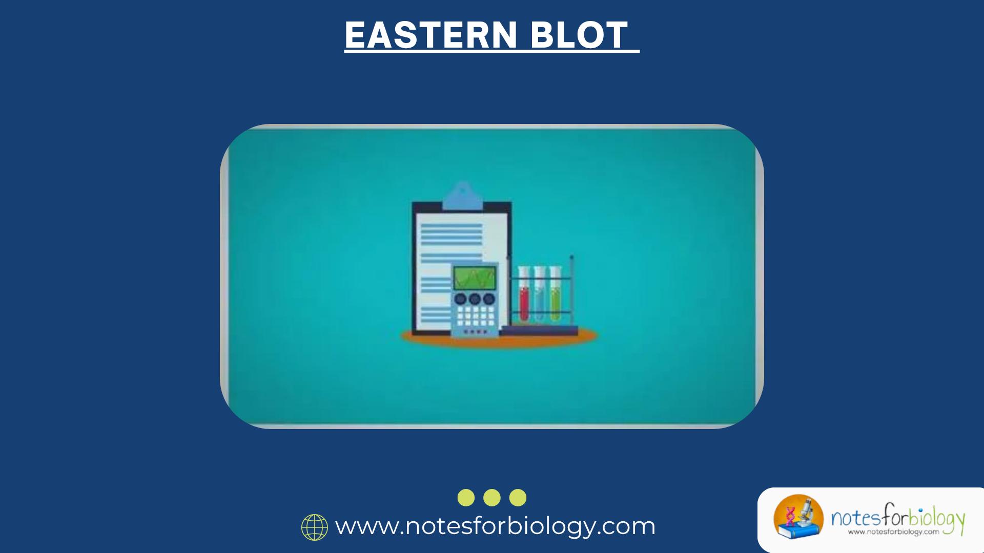 Eastern Blot - Best Biology Notes, Reference, Articles