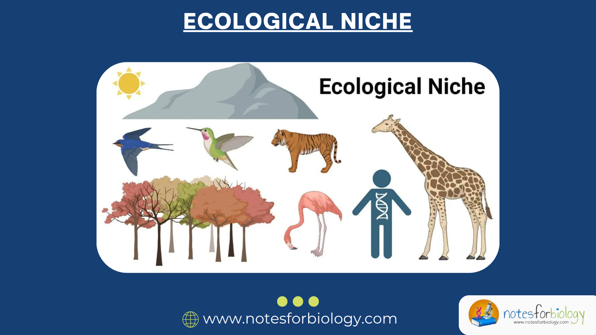Ecological Niche - Best Biology Notes, Reference, Articles