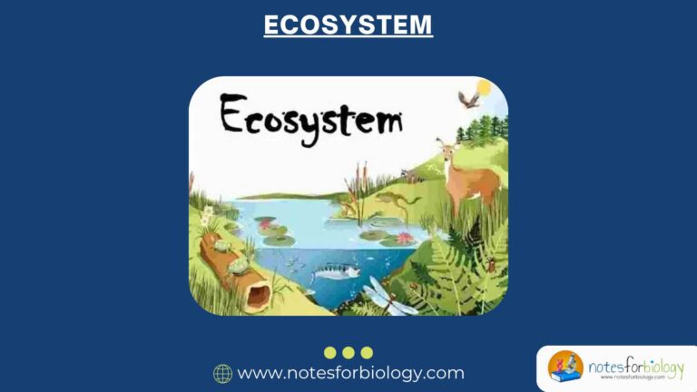 Ecosystem - Best Biology Notes, Reference, Articles
