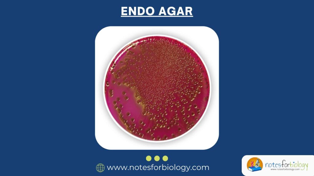 Endo Agar - Best Biology Notes, Reference, Articles