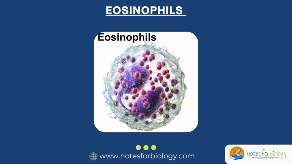 Entamoeba histolytica: Morphology, life cycle, Pathogenesis