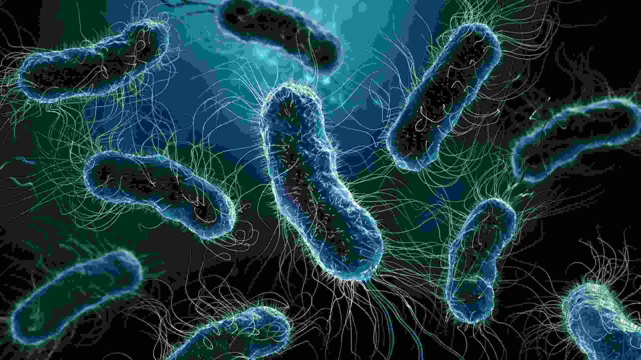 Common Pathogenic Bacteria Found in Stool - Best Biology