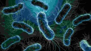 Common Pathogenic Bacteria Found in Stool - Best Biology