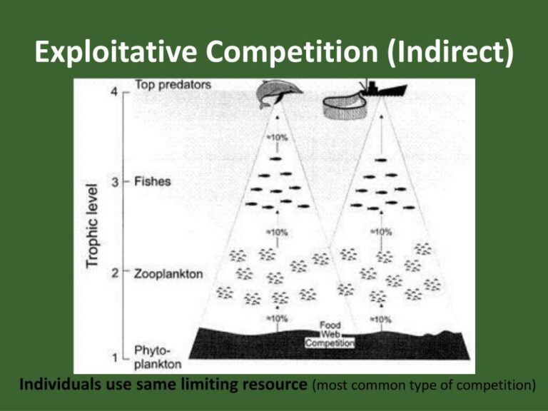 Competition Interaction - Best Biology Notes, Reference,...
