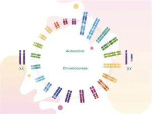Extrachromosomal Inheritance - Best Biology Notes,...