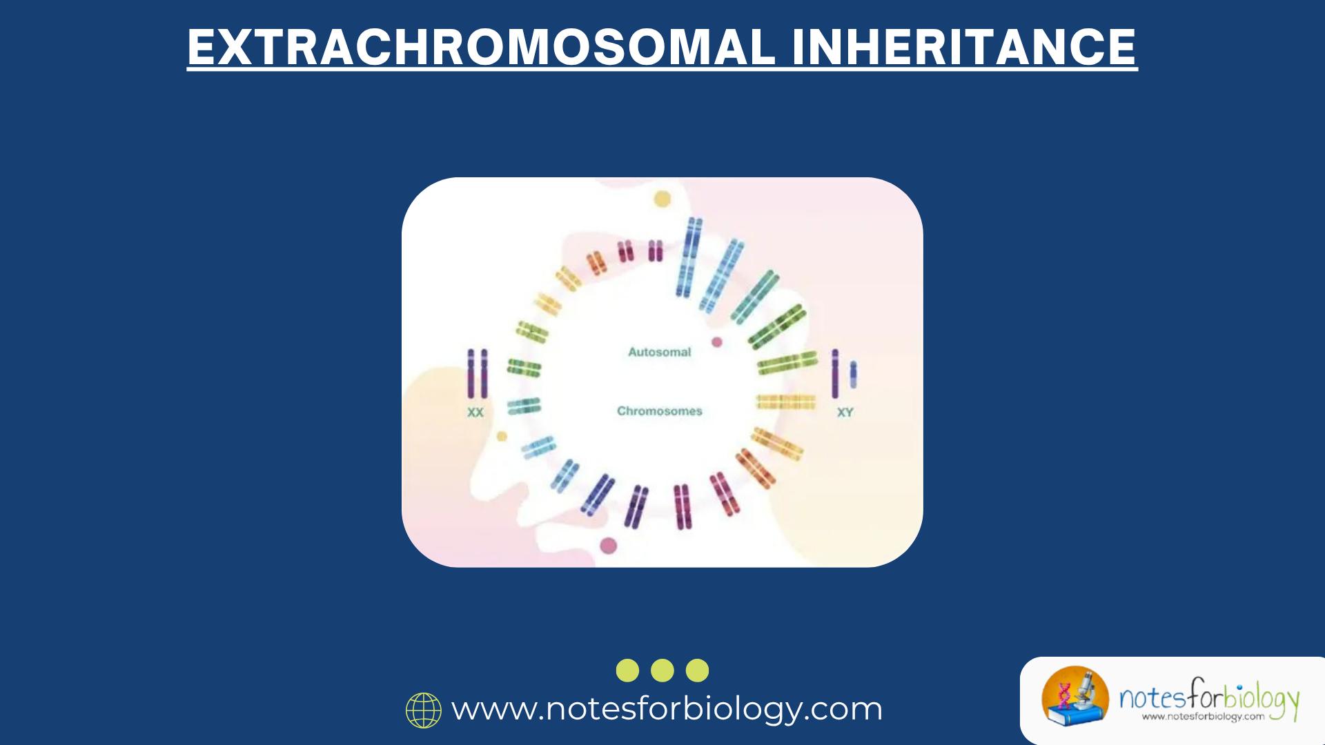 Notes For Biology - All About Biology Notes, Reference