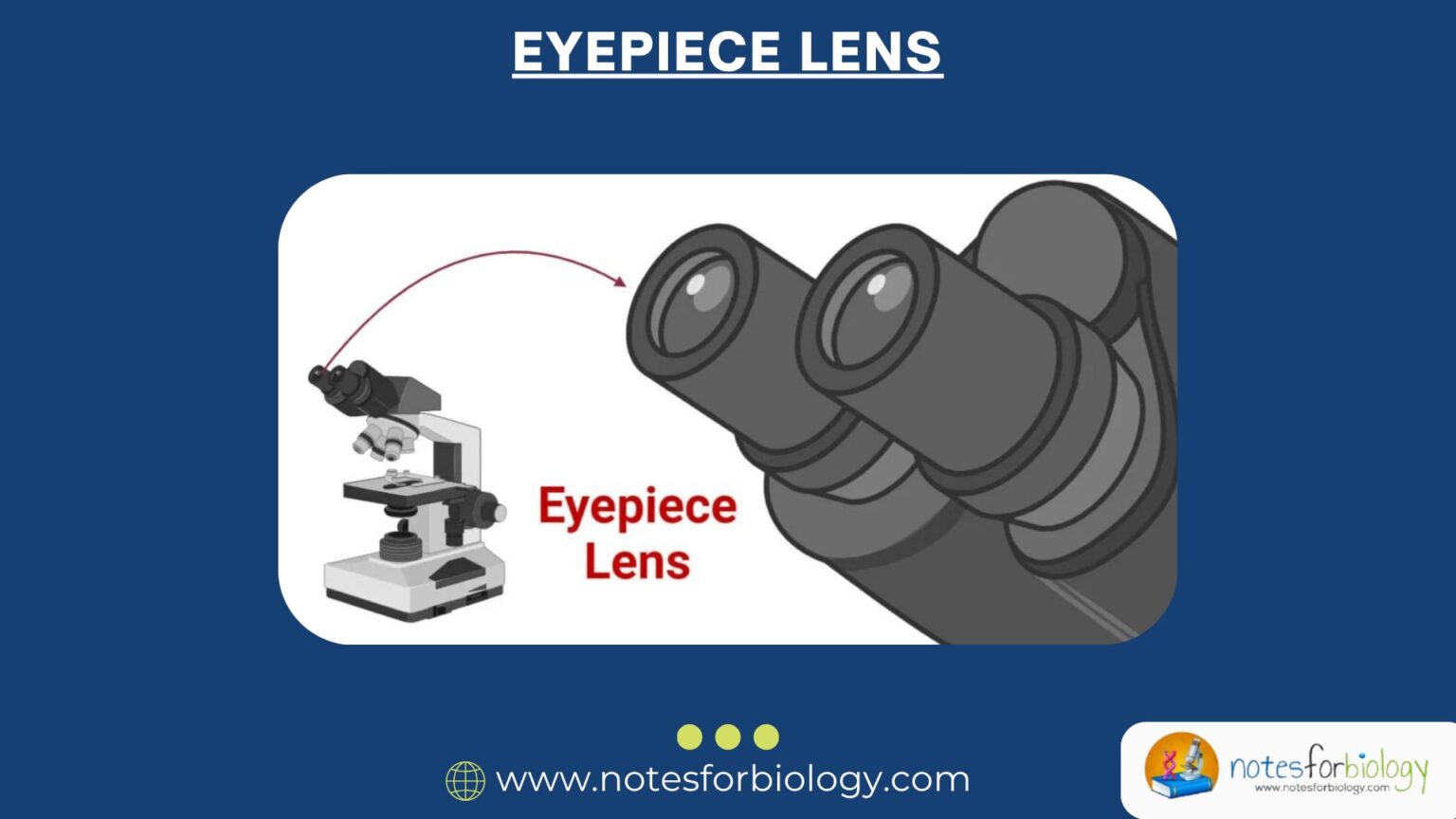 Eyepiece Lens - Best Biology Notes, Reference, Articles