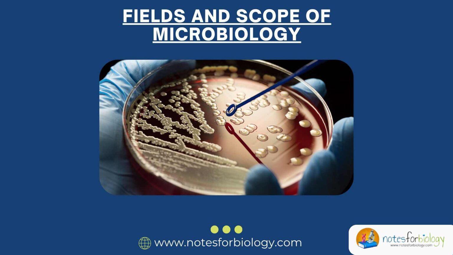 Fields and scope of microbiology - Best Biology Notes,...