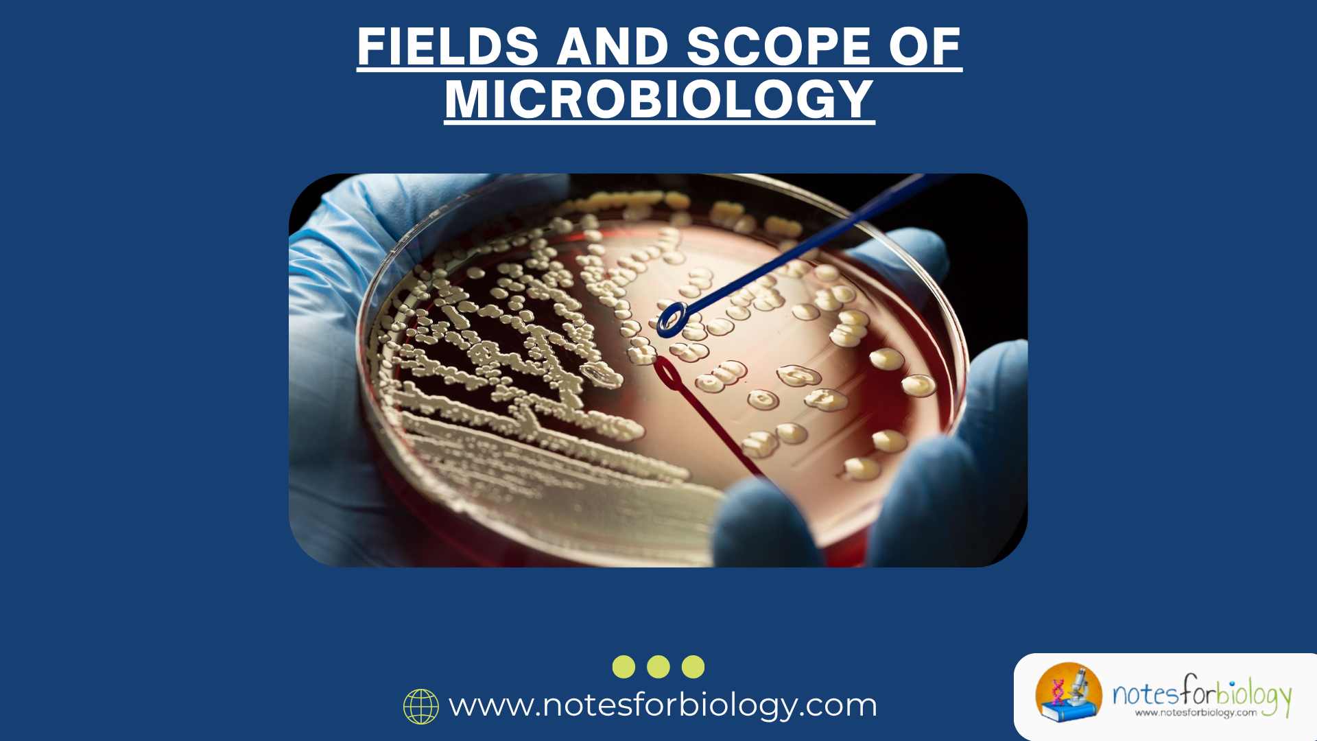 Fields and scope of microbiology - Best Biology Notes,...