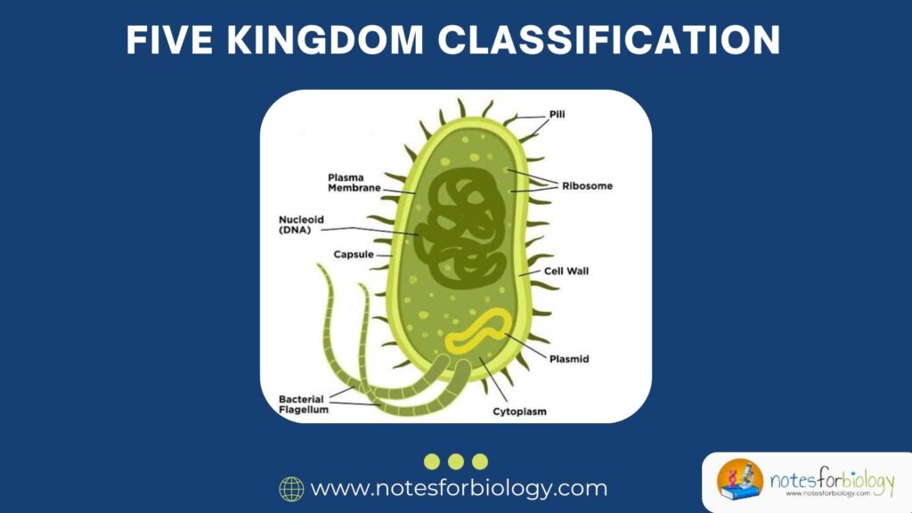 NCERT Biology Class XI - Best Biology Notes, Reference, Articles