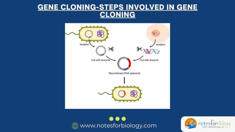 Gene cloning-Steps involved in gene cloning - Best...
