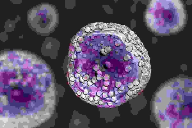 Cancer Cells: Definition, Morphology, Types, and... Best