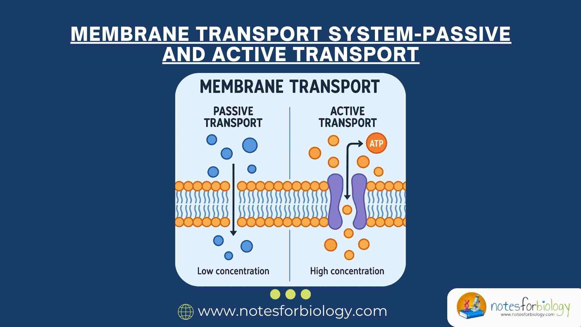 Membrane transport system-Passive and Active Transport