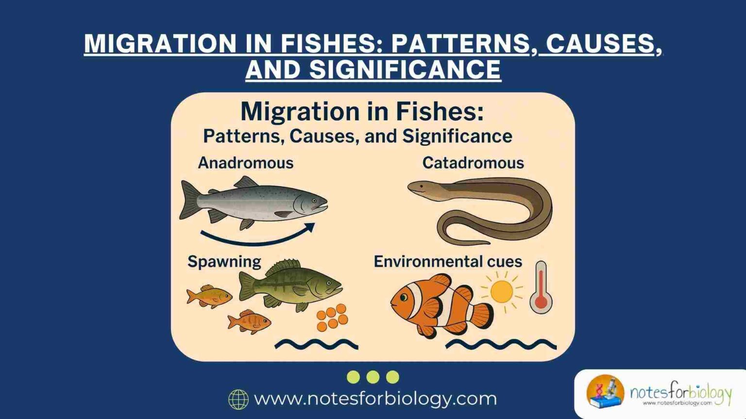Fish Migration : Patterns, Causes, Significance Best Notes