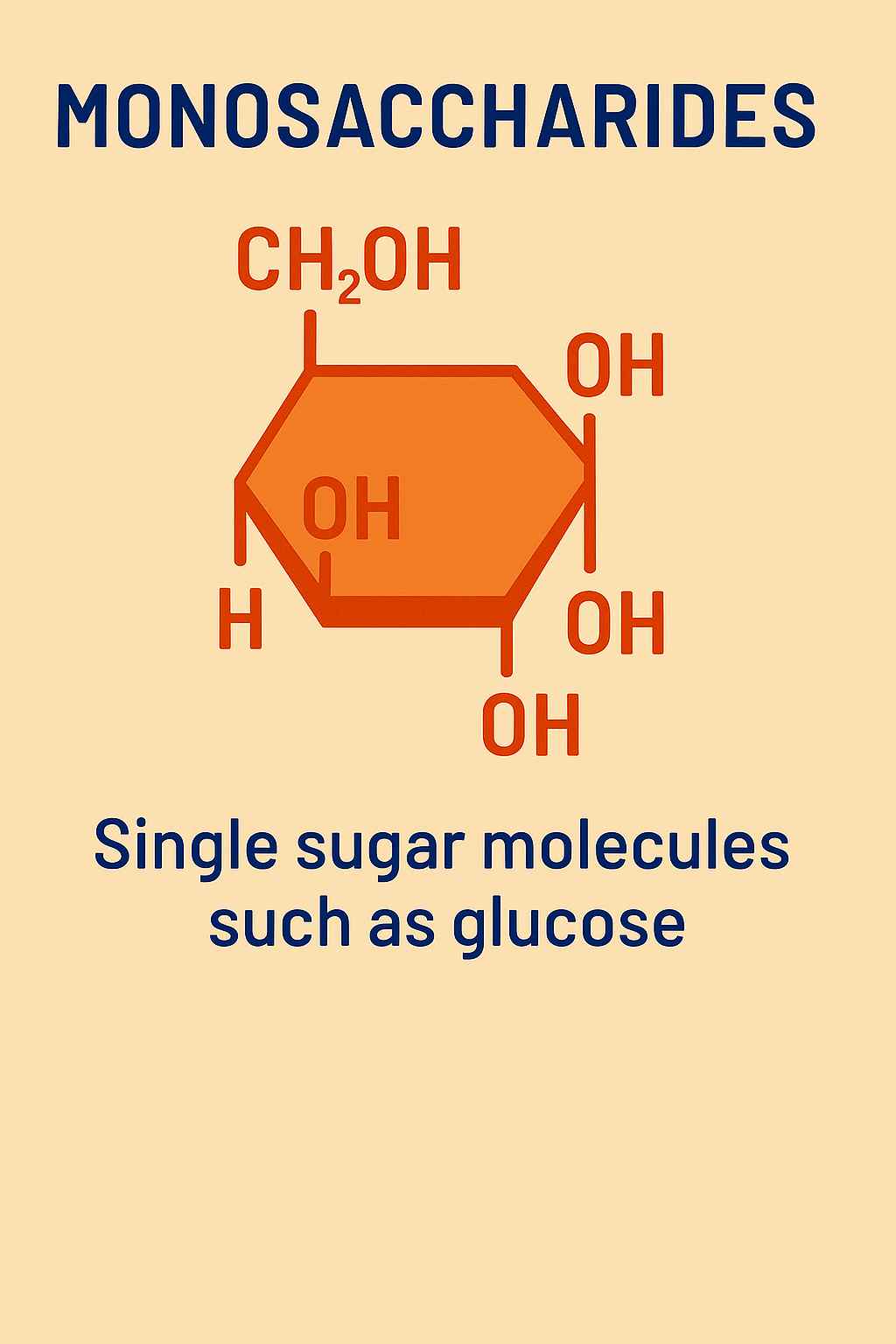 Carbohydrates: Classification, Structure, Functions
