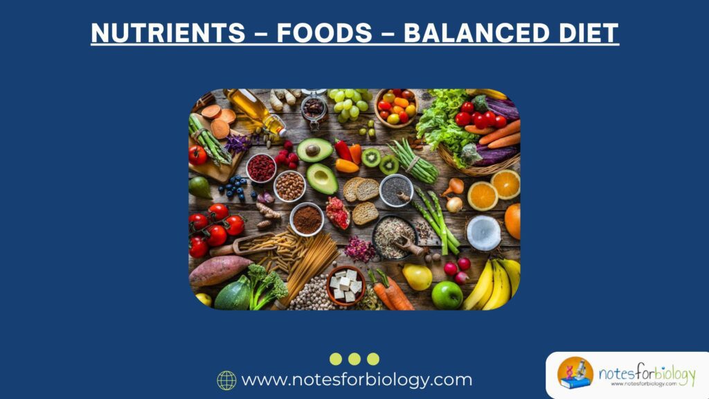 Nutrients – Foods – Balanced Diet - Best Biology Notes, Reference, Articles