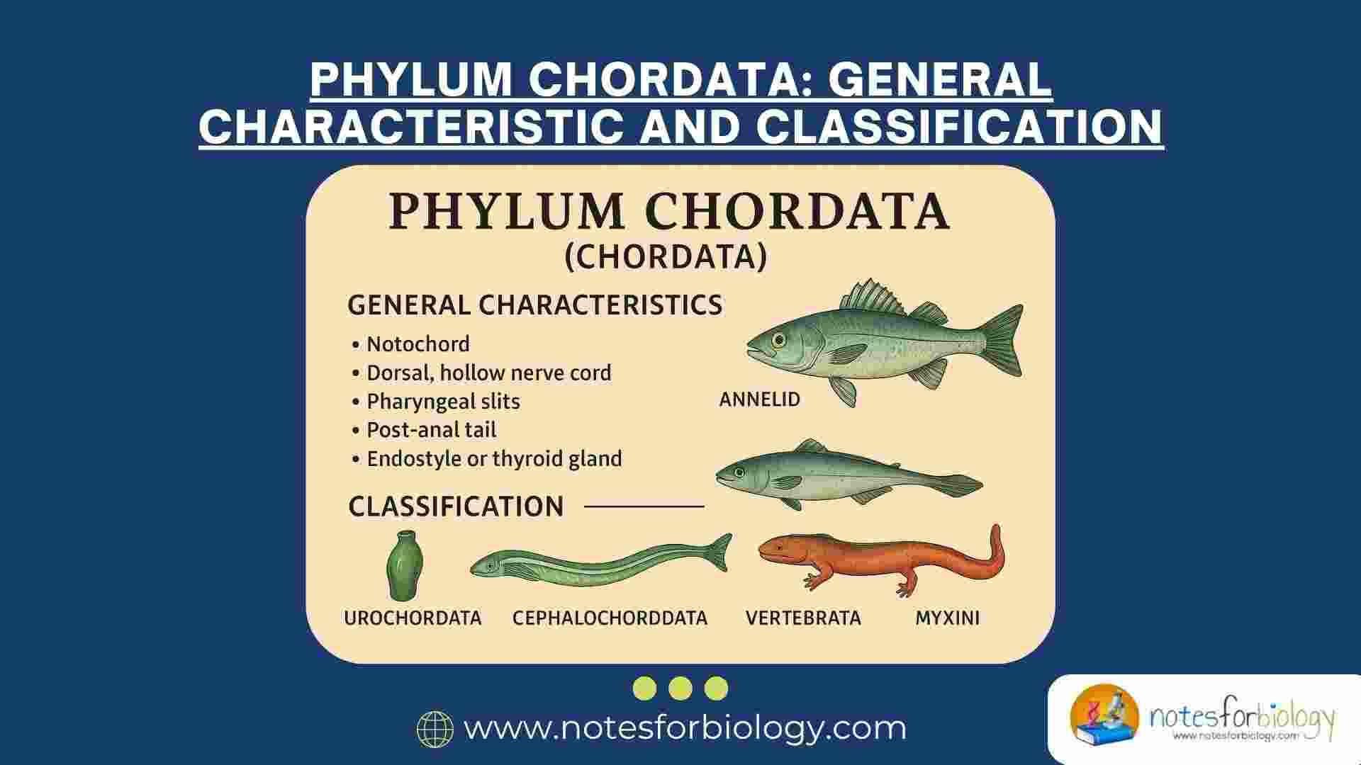 Phylum Chordata: General Characteristic and Classification
