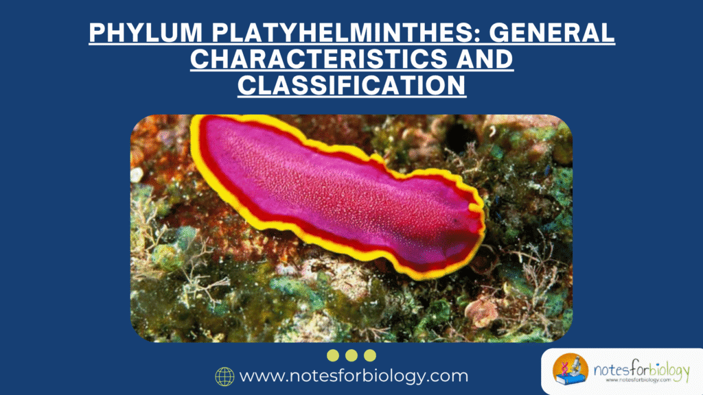 Different Fermentation pathway of bacteria - Best Biology...