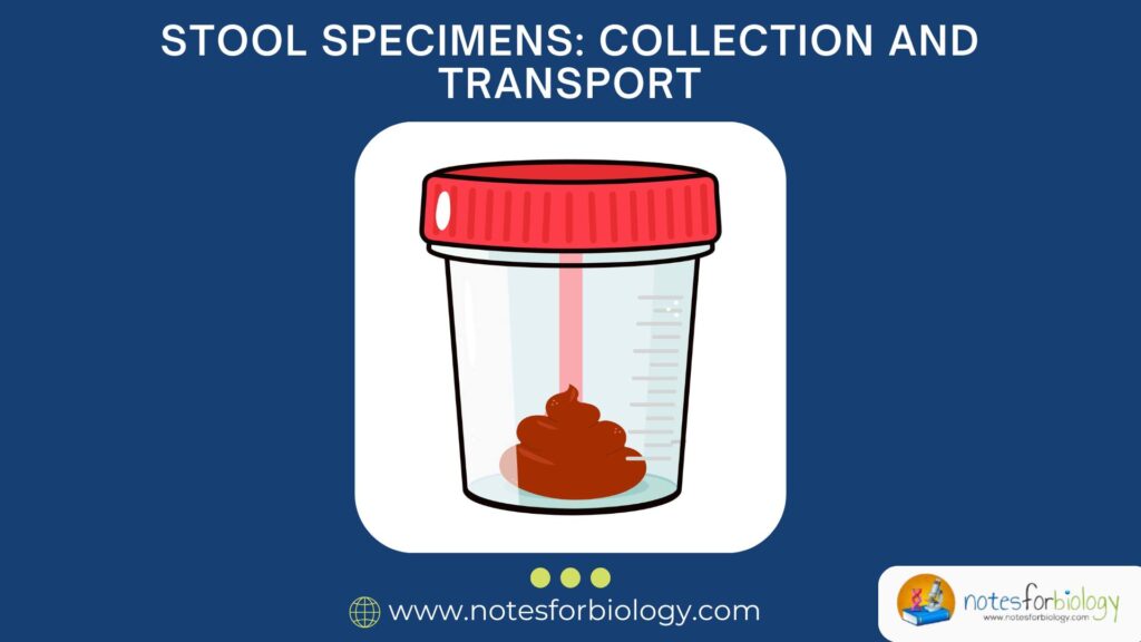 Stool Specimens Collection And Transport Best