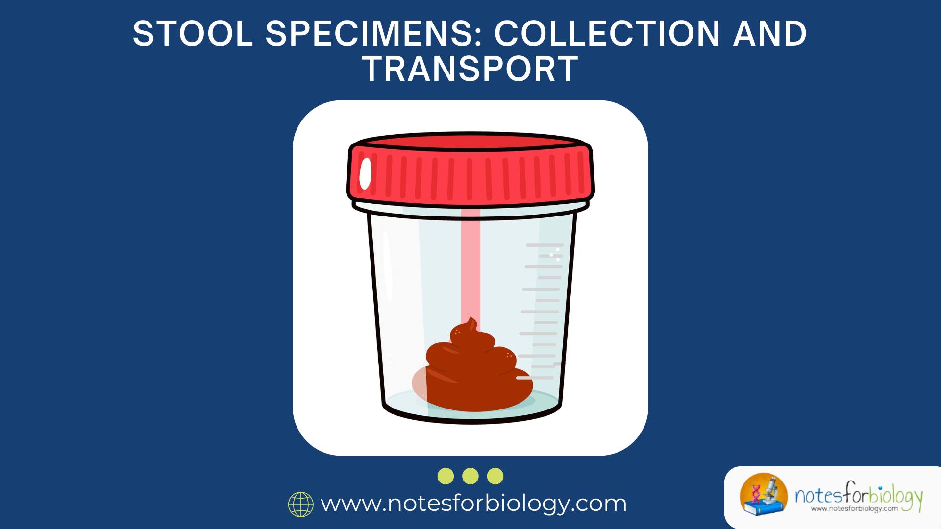 Stool Specimens: Collection and Transport. Best