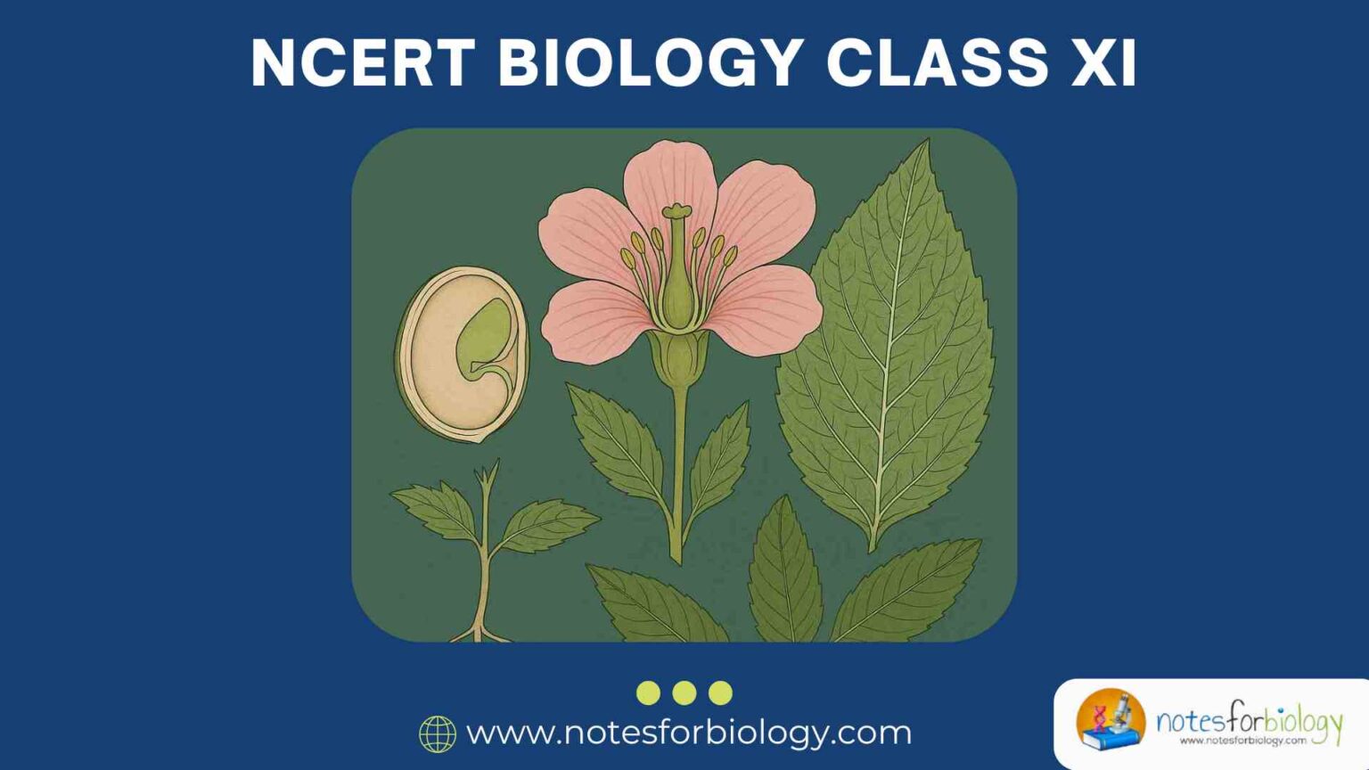 Syllabus for NCERT Biology Class 11 - Best Biology Notes,...