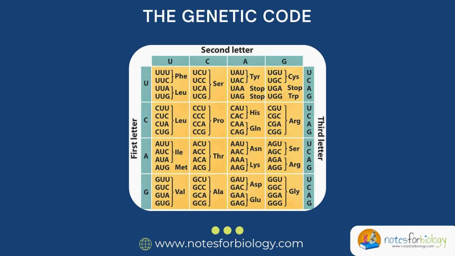 The Genetic Code - Best Biology Notes, Reference, Articles