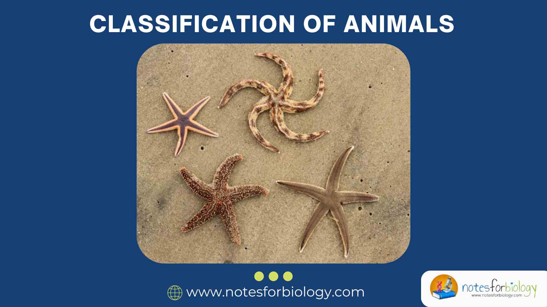 Classification of Animals : Salient Features and Grouping...