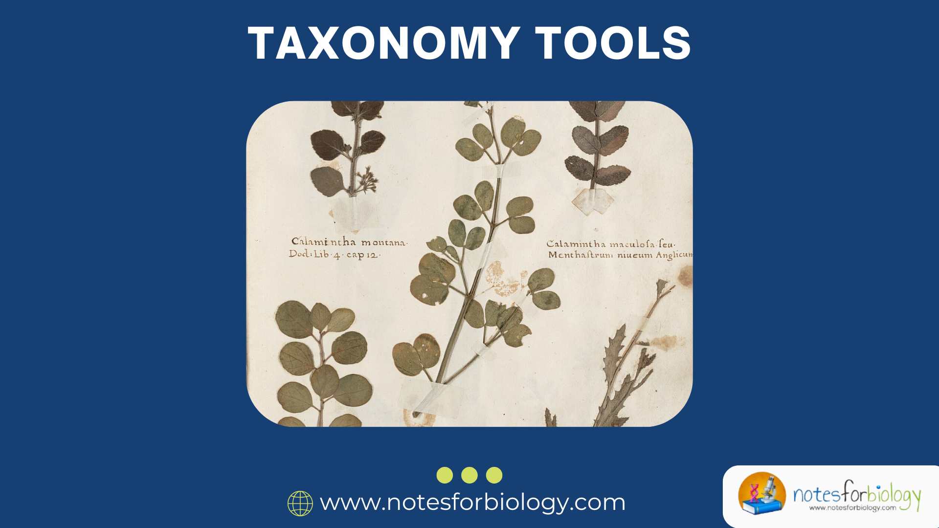 Tools for study of Taxonomy Museums, Zoos, Herbaria, - Best