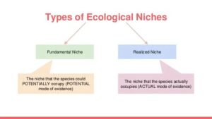 Ecological Niche - Best Biology Notes, Reference, Articles