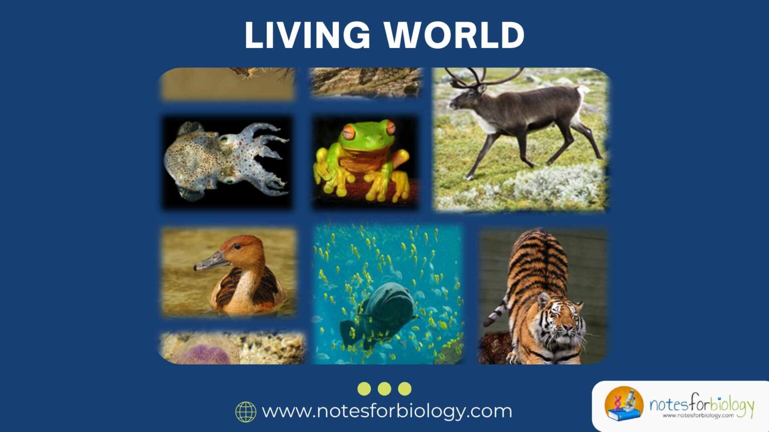 NCERT Biology Class XI - Best Biology Notes, Reference, Articles