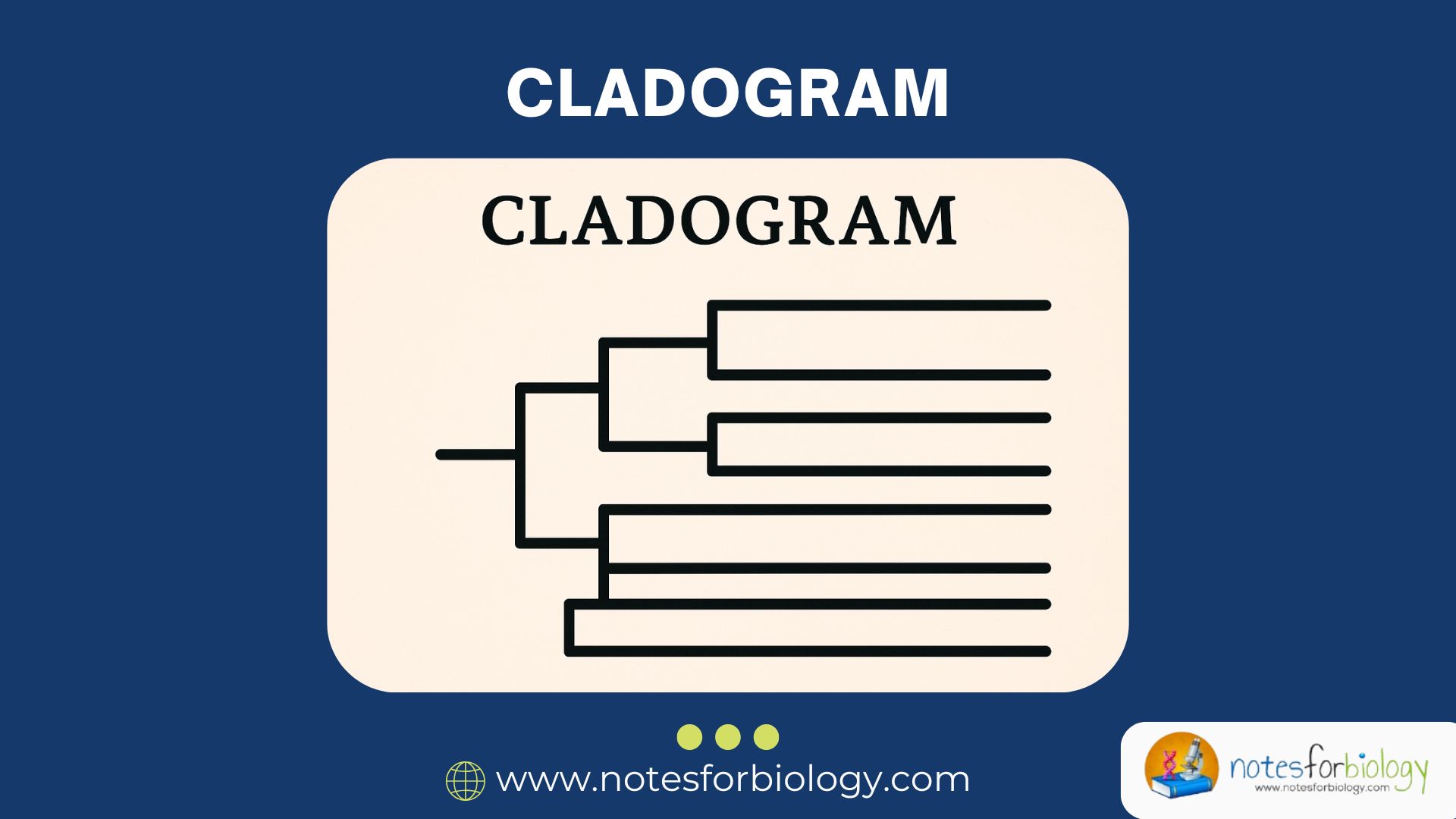 Cladogram: Features, Parts, Examples (vs. Phylogram)