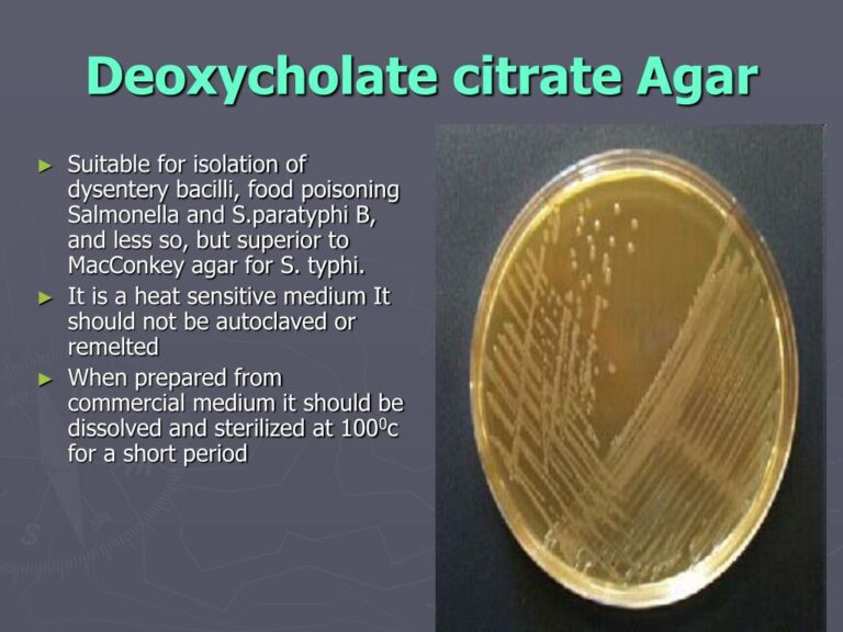 Deoxycholate Citrate Agar (DCA) - Best Biology Notes,...
