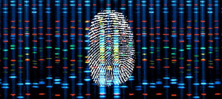 DNA Fingerprinting - Best Biology Notes, Reference, Articles