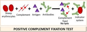 Complement Fixation Test- Principle, Procedure, Results